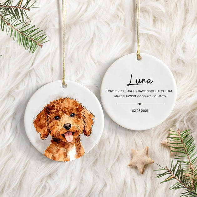 Home & Living – Mod Paws